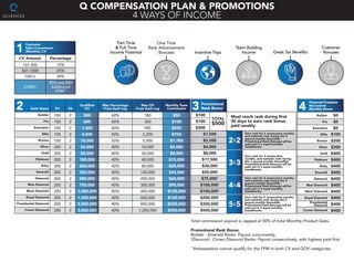 Q sciences compensation plan | PDF