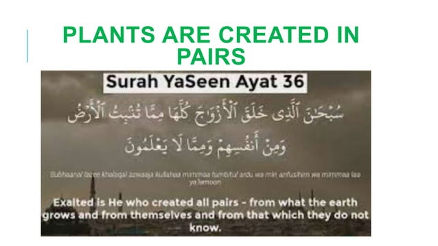 QSG Plants of the Quran (SLIDES).pptx