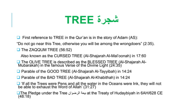 QSG Plants of the Quran (SLIDES).pptx