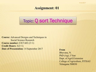 Q sort | PDF
