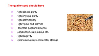 Quality seed production | PPTX