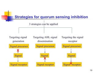 QSppt.ppt is PPT OF QUORUM SENSING MICRO | PPT