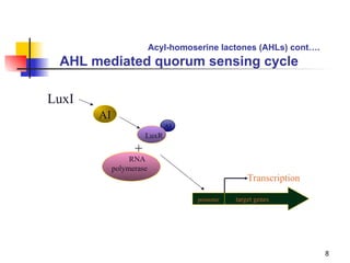 QSppt.ppt is PPT OF QUORUM SENSING MICRO | PPT