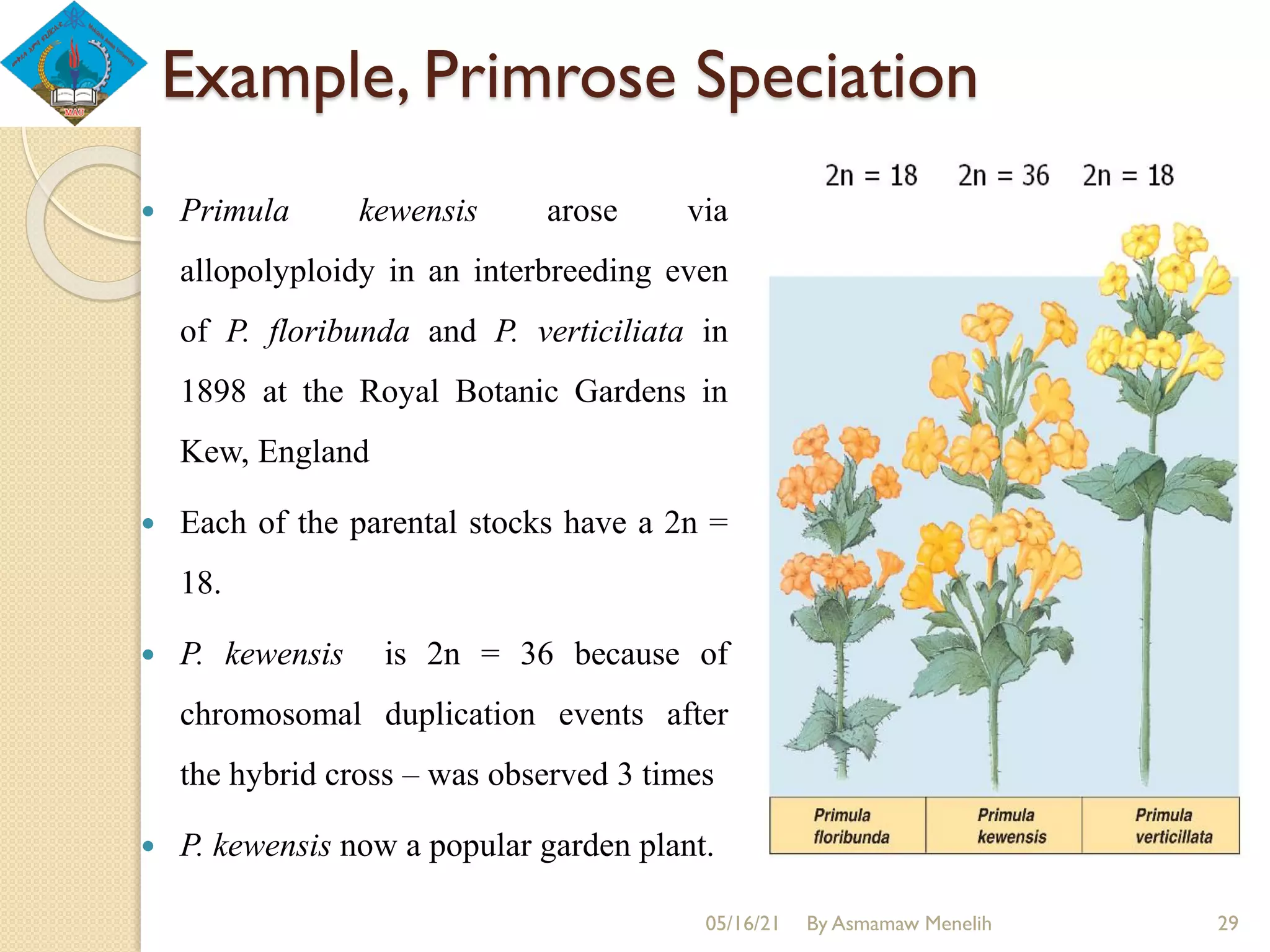 Speciation | PDF