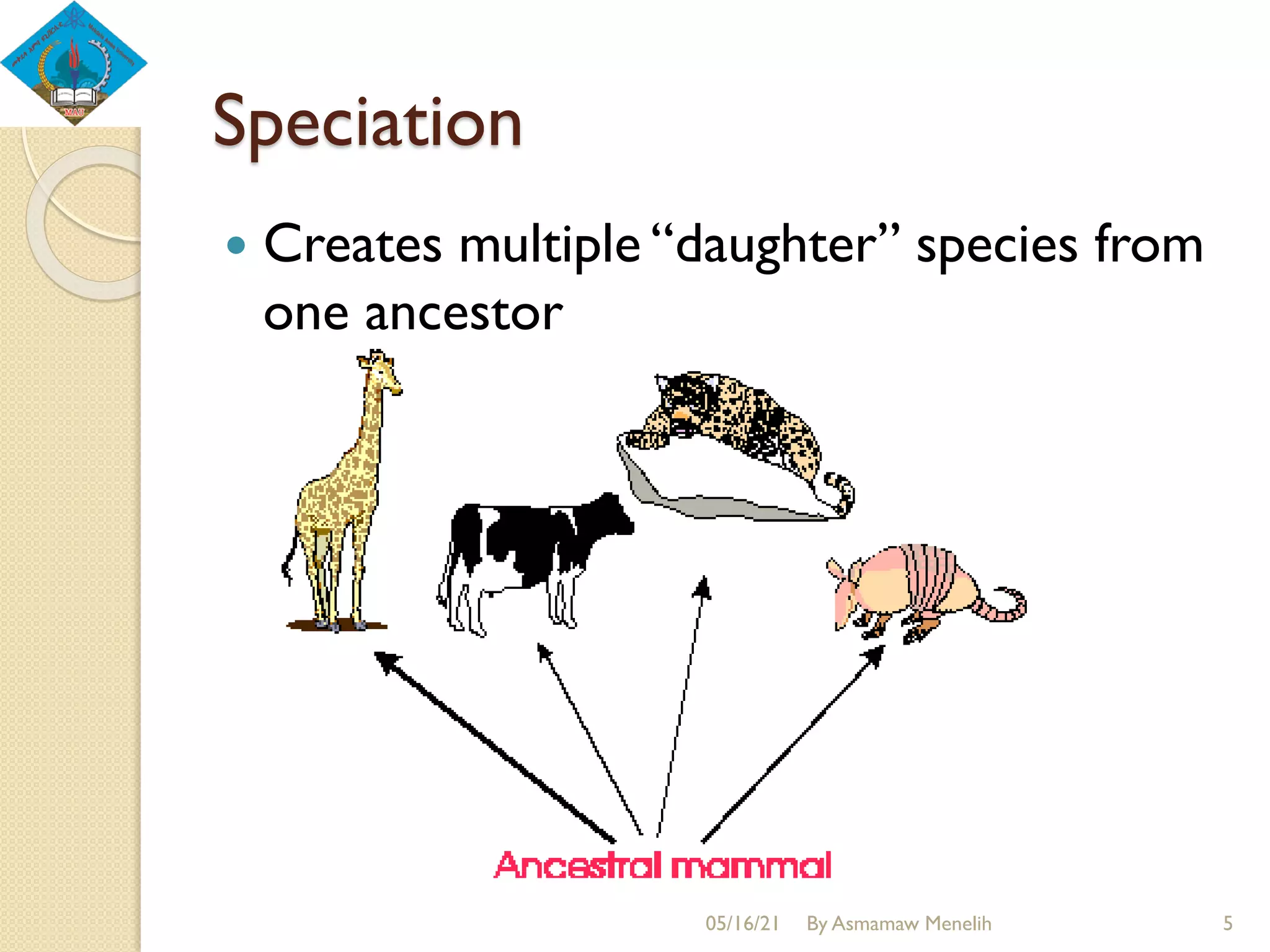 Speciation | PDF