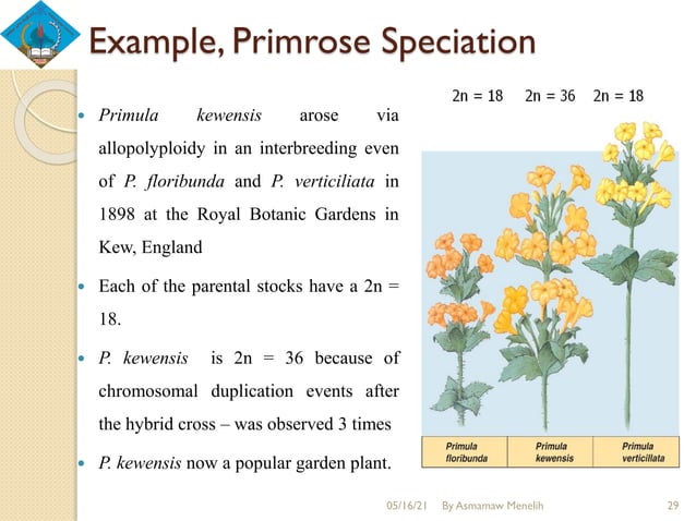 Speciation | PDF | Biological Sciences | Science