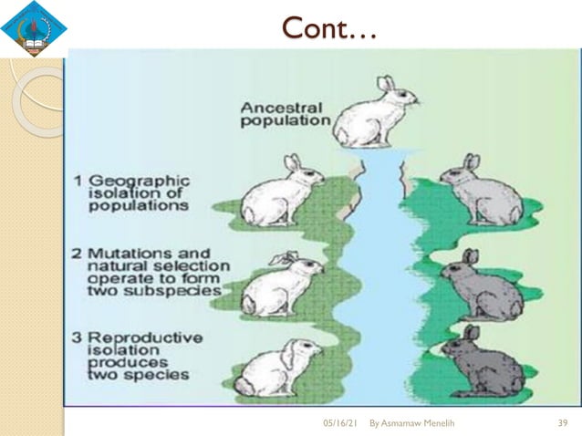 Speciation | PDF | Biological Sciences | Science