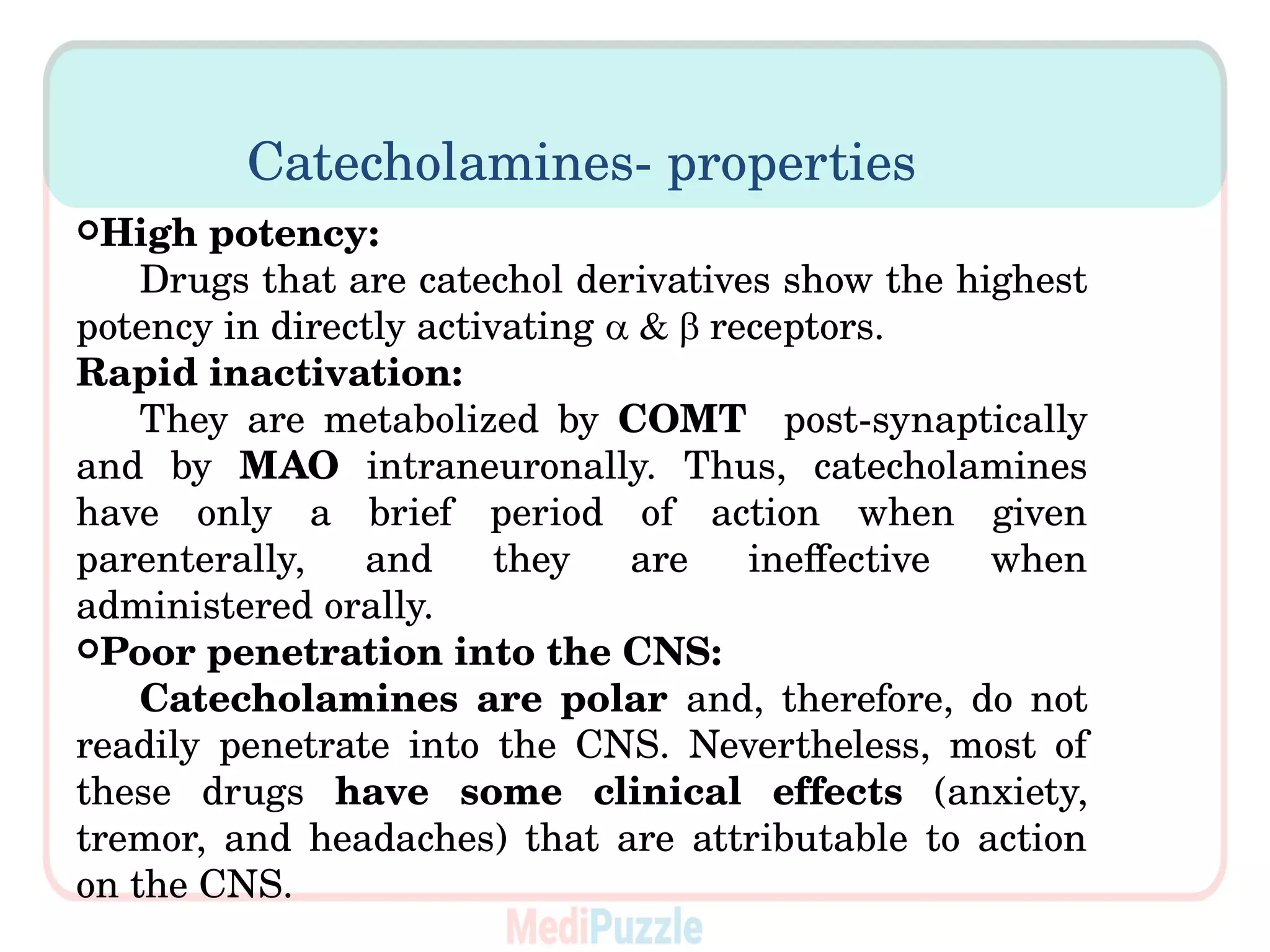 ANS-_Adrenergic_drugs-_Catecholamines.pdf