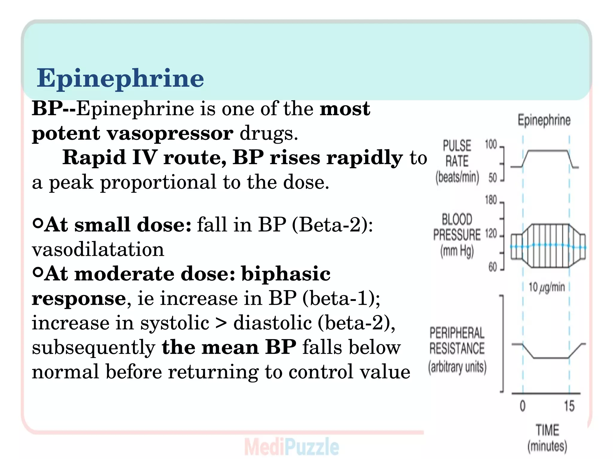 ANS-_Adrenergic_drugs-_Catecholamines.pdf