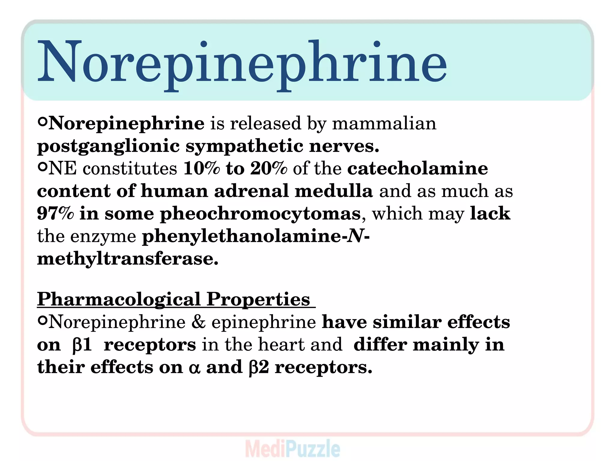 ANS-_Adrenergic_drugs-_Catecholamines.pdf