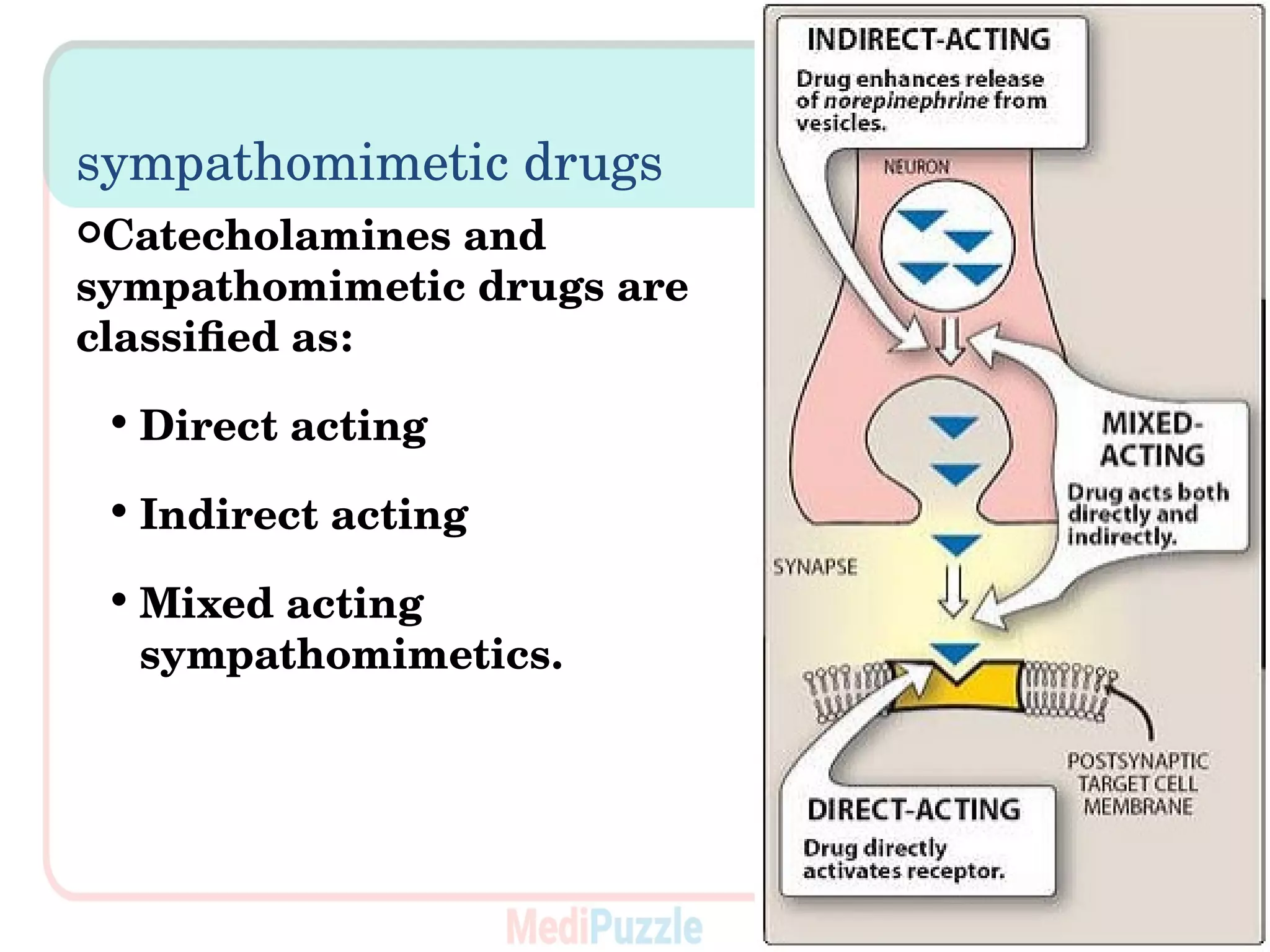 ANS-_Adrenergic_drugs-_Catecholamines.pdf