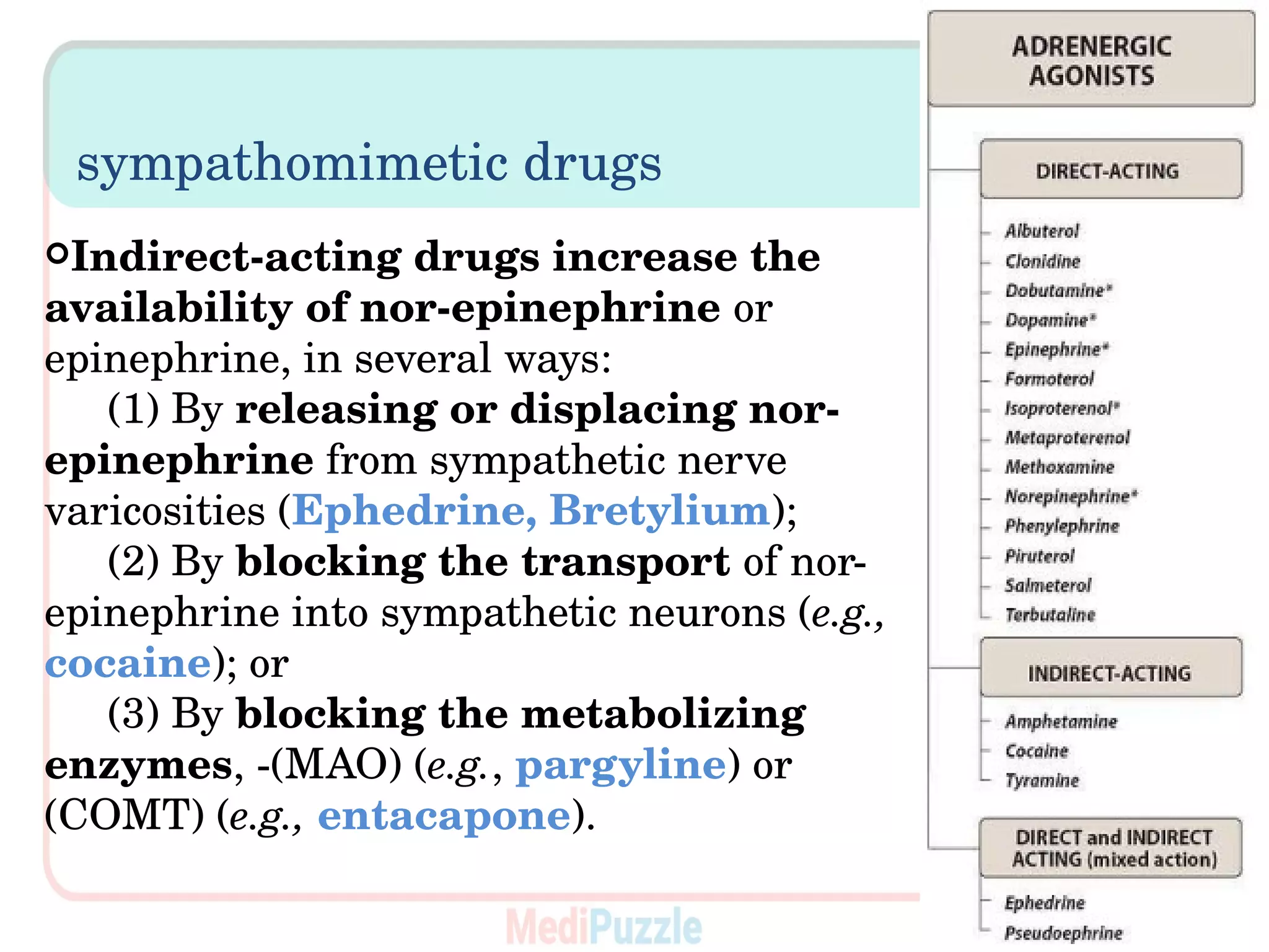 ANS-_Adrenergic_drugs-_Catecholamines.pdf