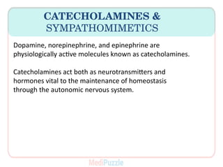 ANS-_Adrenergic_drugs-_Catecholamines.pdf