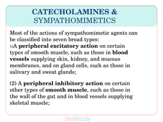 ANS-_Adrenergic_drugs-_Catecholamines.pdf