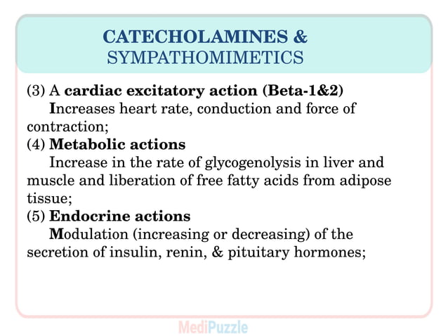 ANS-_Adrenergic_drugs-_Catecholamines.pdf
