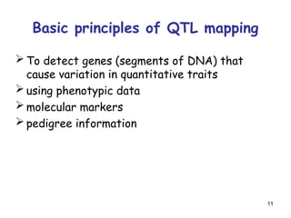 Advanced biostatistics QTL mapping11.ppt