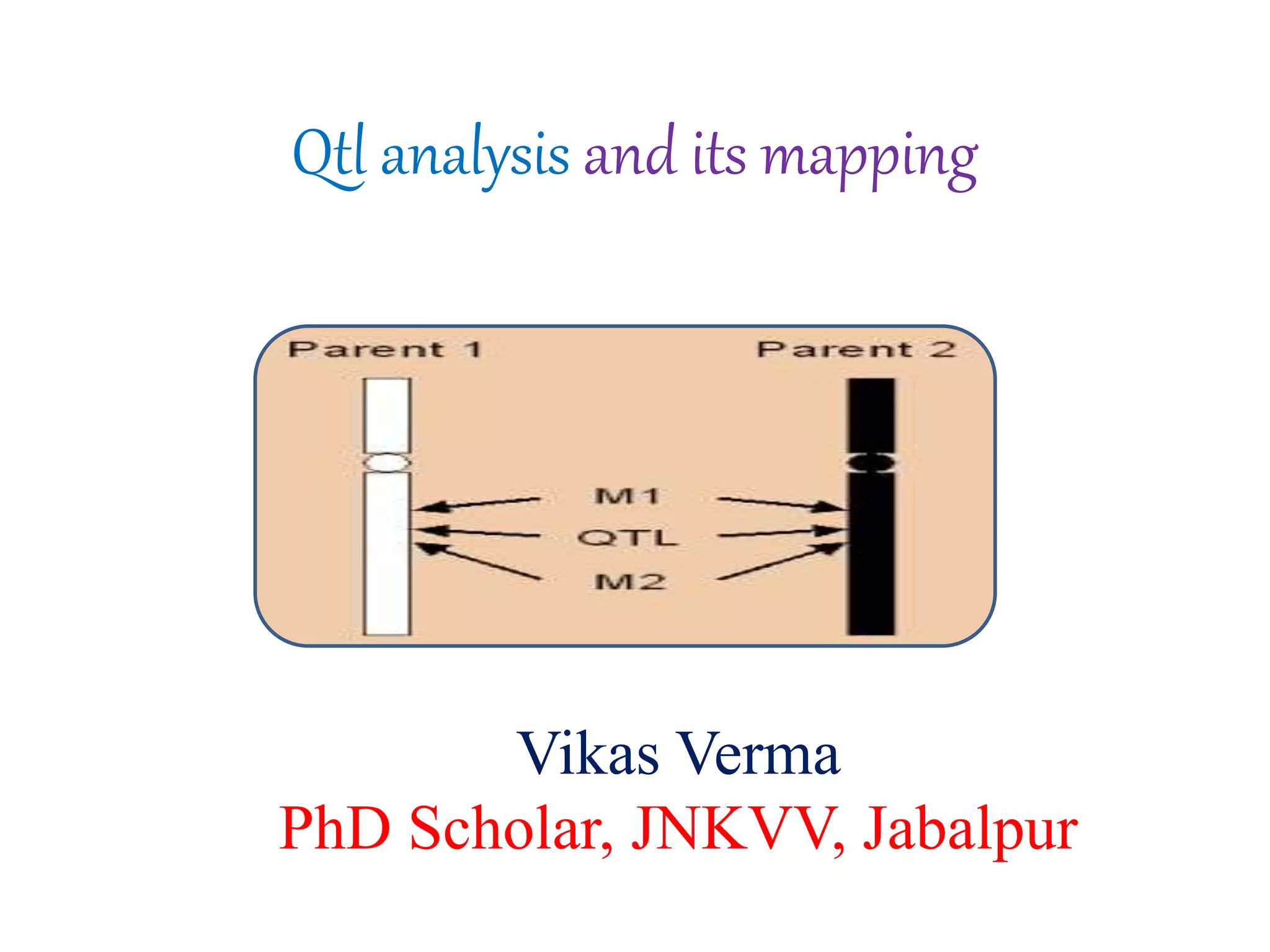 Qtl Analysis And Its Mapping Pptx Genetics Science