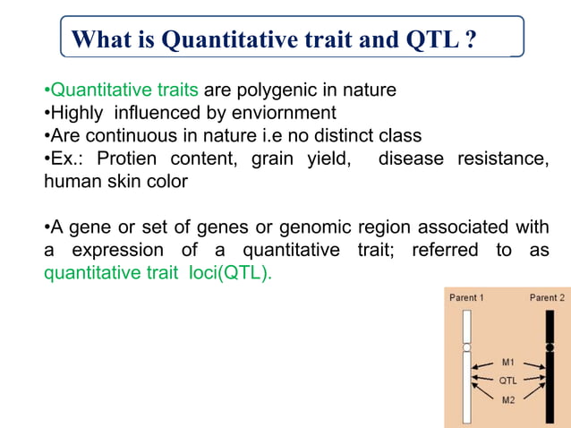 Qtl Analysis And Its Mapping Pptx Genetics Science