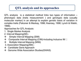 Qtl analysis and its mapping | PPTX
