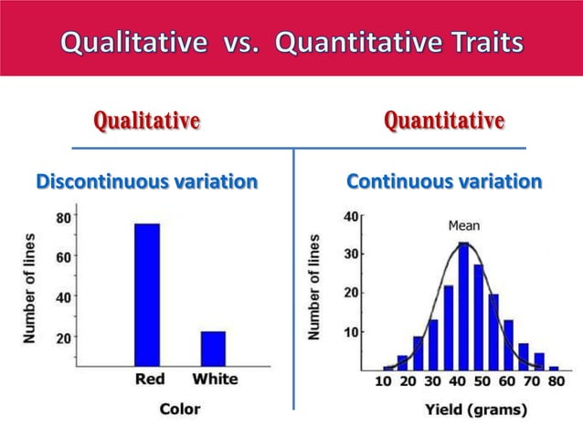 Quantitative trait loci (QTL) analysis and its applications in plant breeding | PDF | Genetics ...