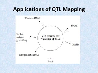 Qtl and its mapping | PPTX