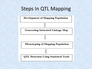 Qtl and its mapping | PPTX