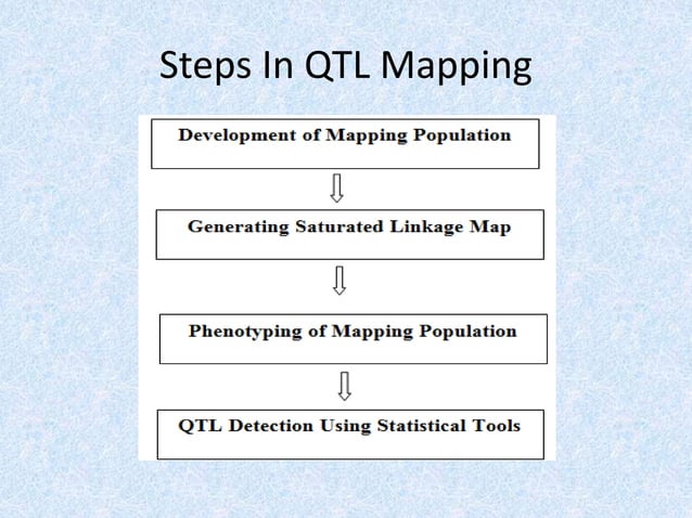 Qtl and its mapping | PPTX | Genetics | Science