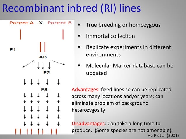 QTL MAPPING & ANALYSIS | PPTX | Genetics | Science