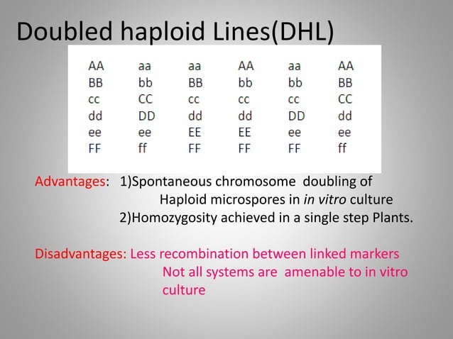 QTL MAPPING & ANALYSIS | PPTX | Genetics | Science