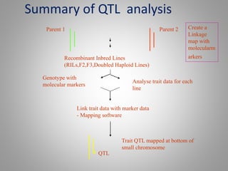 QTL MAPPING & ANALYSIS | PPTX