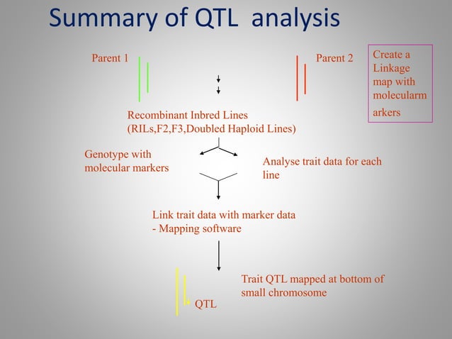 QTL MAPPING & ANALYSIS | PPTX | Genetics | Science