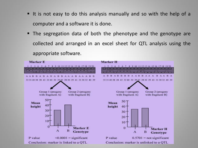 QTL MAPPING & ANALYSIS | PPTX | Genetics | Science