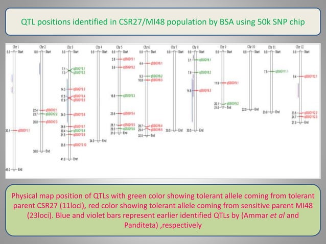 QTL MAPPING & ANALYSIS | PPTX | Genetics | Science