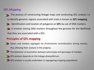 QTL MAPPING & ANALYSIS | PPTX | Genetics | Science