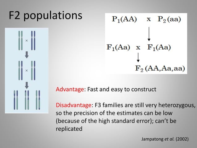 QTL MAPPING & ANALYSIS | PPTX | Genetics | Science