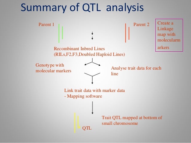 QTL MAPPING & ANALYSIS QTL MAPPING & ANALYSIS