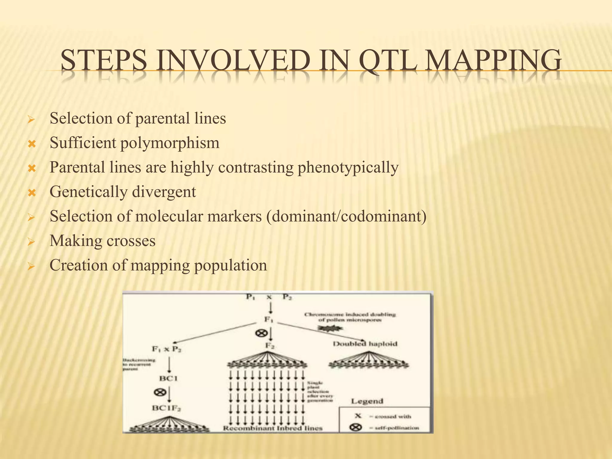 QTL MAPPING.pptx | Genetics | Science