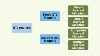Quantitative trait Loci Mapping in agriculture.pptx