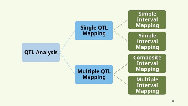 Quantitative trait Loci Mapping in agriculture.pptx