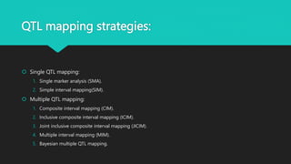 QTL mapping and analysis.pptx