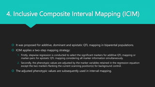 QTL mapping and analysis.pptx
