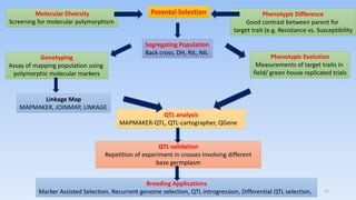 Qtl mapping sachin pbt | PPTX
