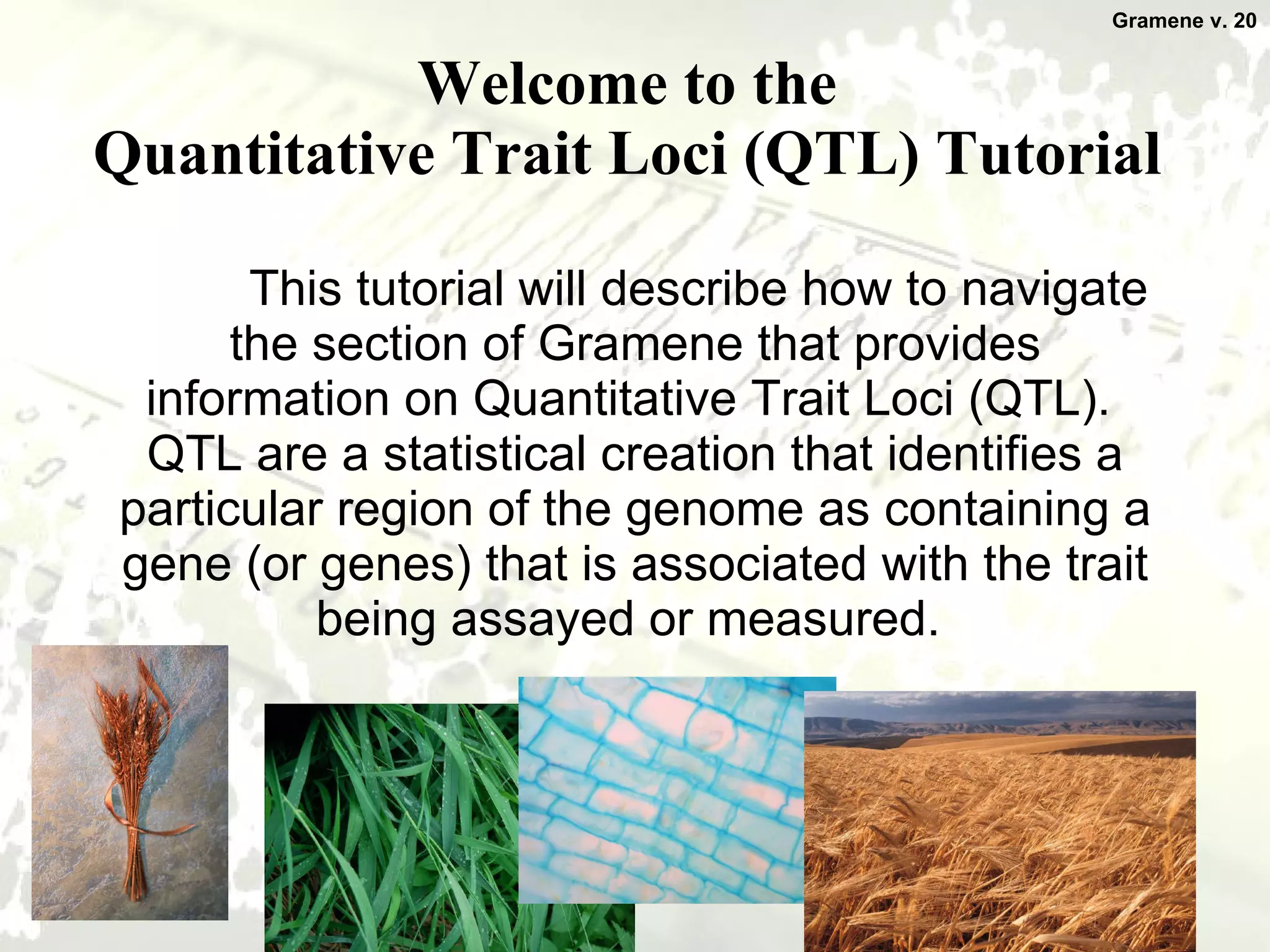 Qtl gramene tutorial | PPT