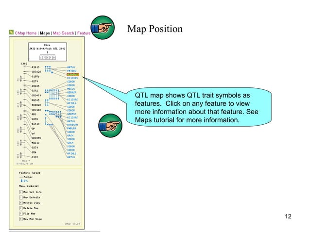 Qtl gramene tutorial | PPT