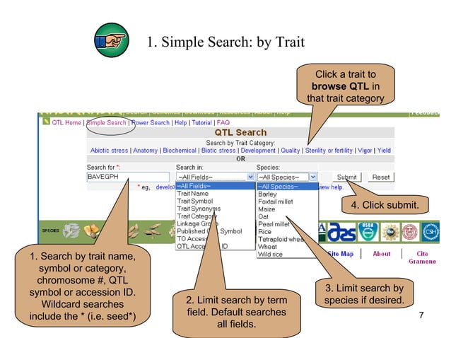Qtl gramene tutorial | PPT