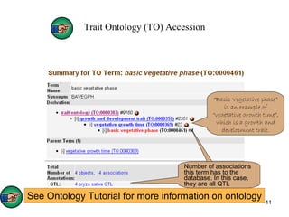 Qtl gramene tutorial | PPT
