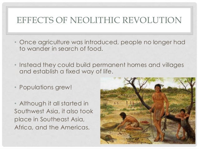 Emergence of civilization