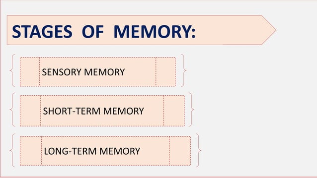 SENSORY MEMORY | PPTX | Science