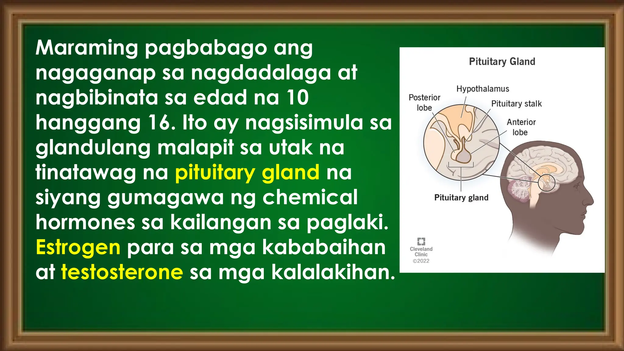 EPP - Grade 5 - Week 2 Lesson - Home Economics | PPTX