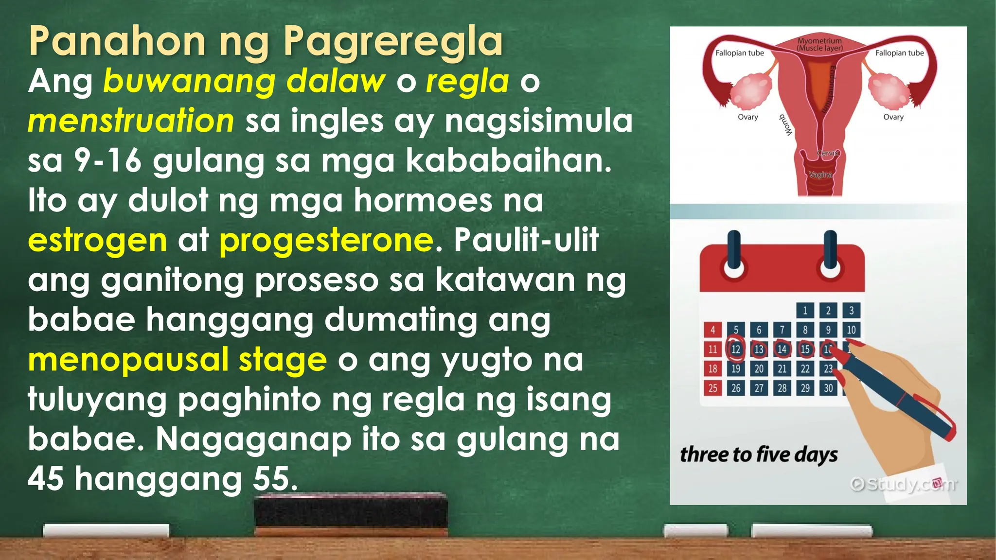 EPP - Grade 5 - Week 2 Lesson - Home Economics | PPTX
